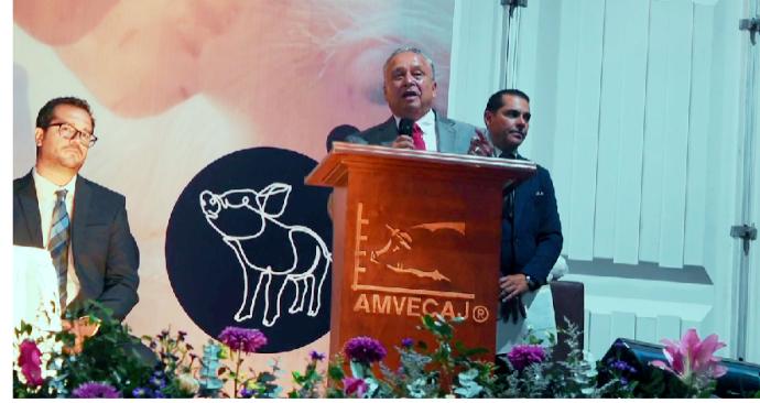 Home | Website AMVECAJ